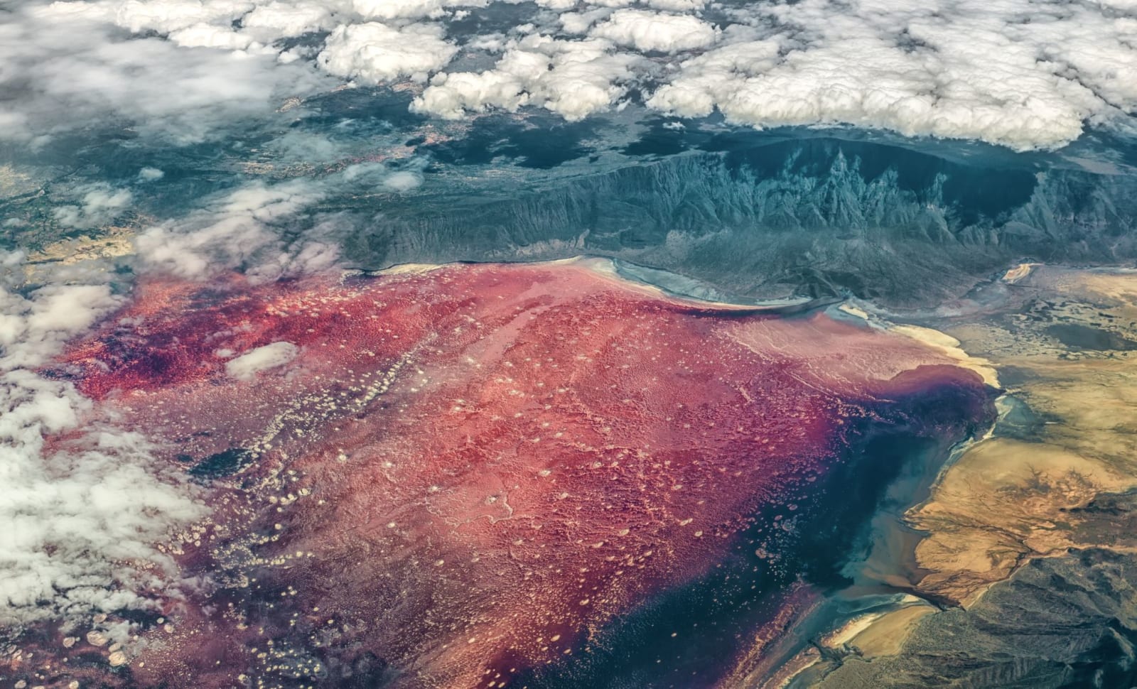 Tanzania’s Blood-Red Lake That Turns Animals to Stone – Images Revealed