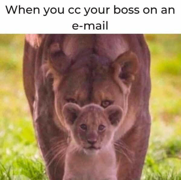 35 Funny Boss Memes You Won’t Have To Pretend To Laugh At Like You Do Your Boss’ Jokes