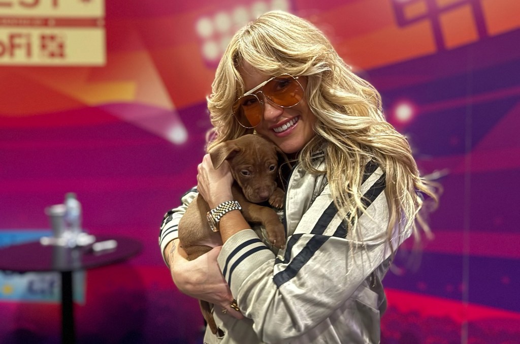 How Adoptable Pets at Concert Venues Are ‘Offering Love' to Touring ...