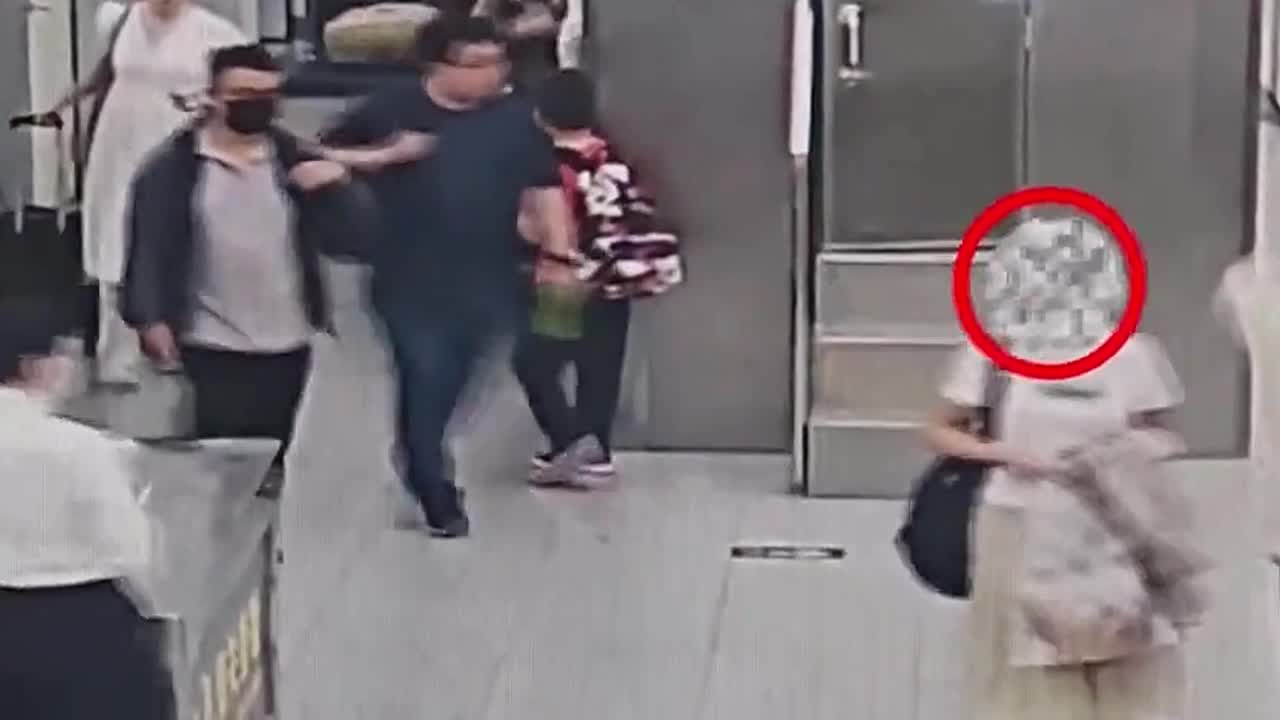 Chinese border guards catch woman with 30 endangered TURTLES stuffed ...