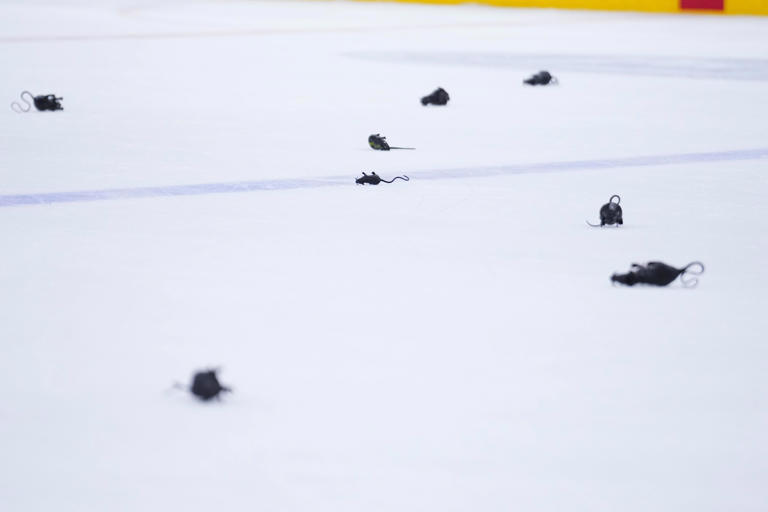 Where do the Florida Panthers play? Stanley Cup Final Game 3 is here ...