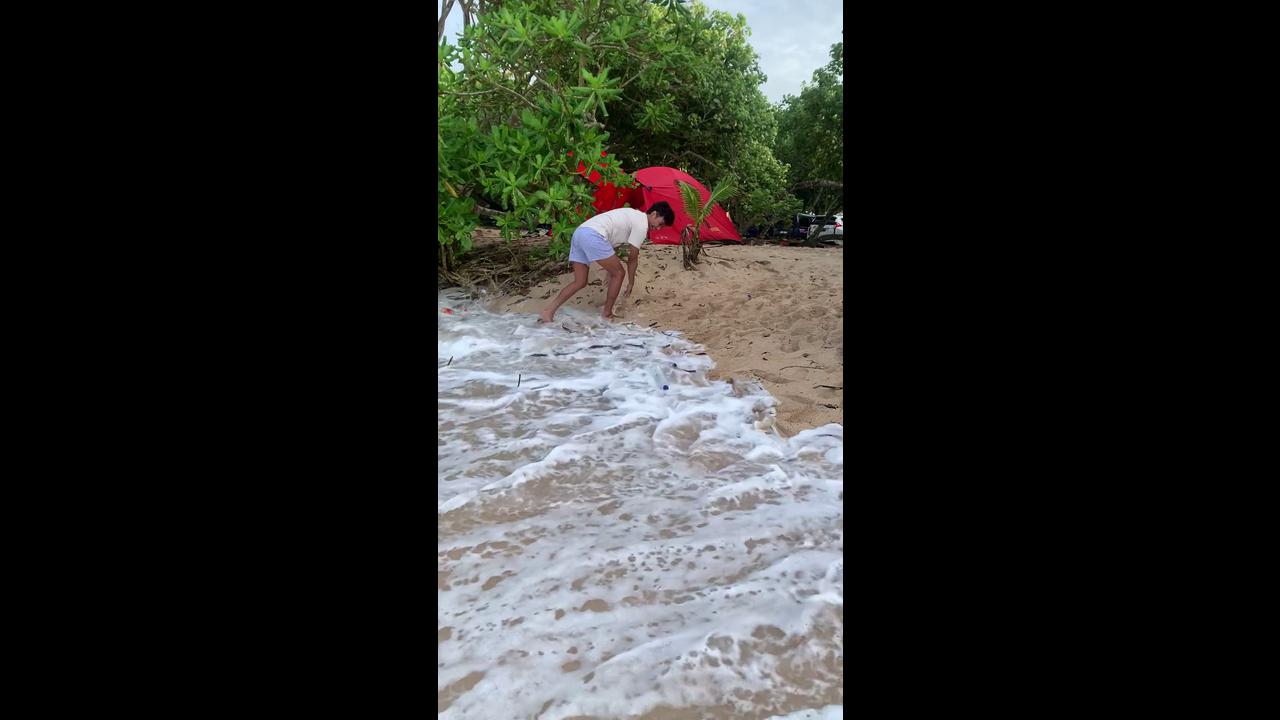 Snake sparks panic when wave washes it across sand