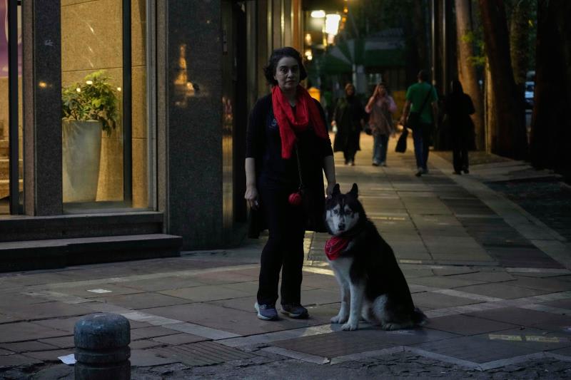 Iran Has Bad News for Dog Owners