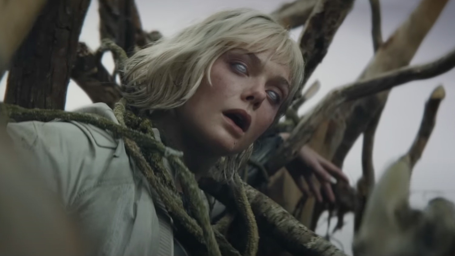 Predator: Badlands Isn’t A Full Alien Vs. Predator Film: ‘There’s No ...