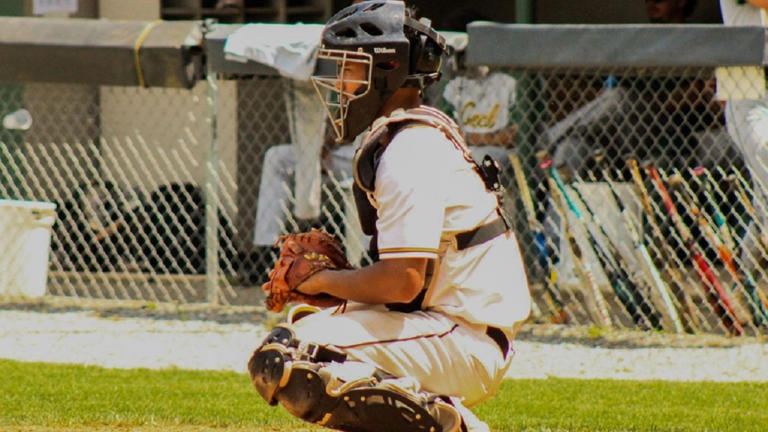 CSM Hawks Trio Earns NJCAA All-Region Honors