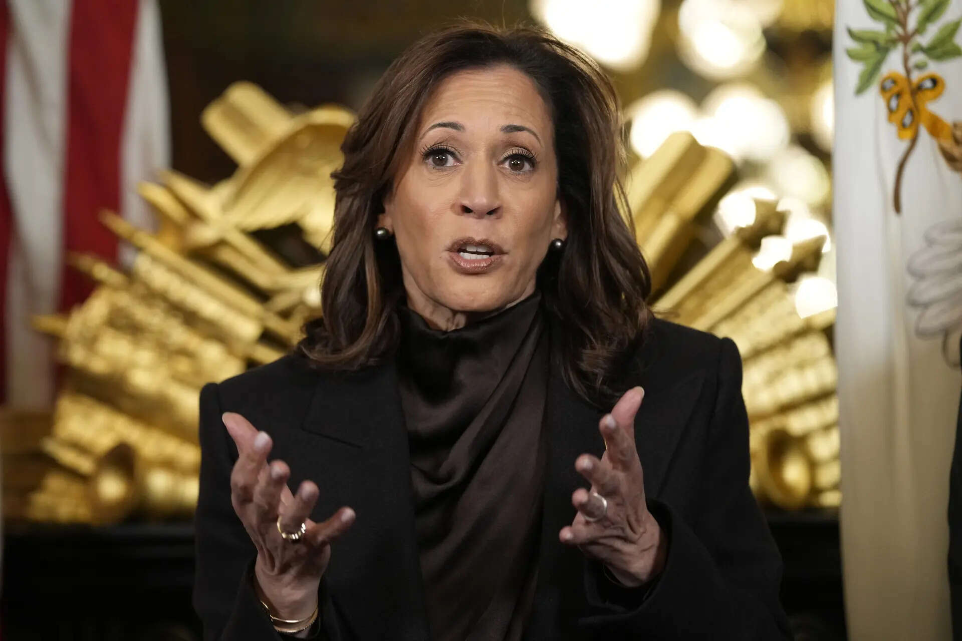 Kamala Harris won the U.S elections: Bombshell report claims voting ...