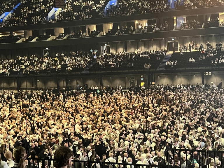 Pitbull Mania: Bald caps take over Manchester show