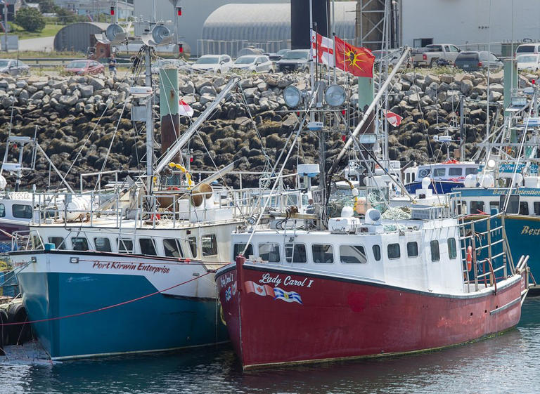 N.S. Mi’kmaq band drops case arguing federal rules don’t apply to its ...