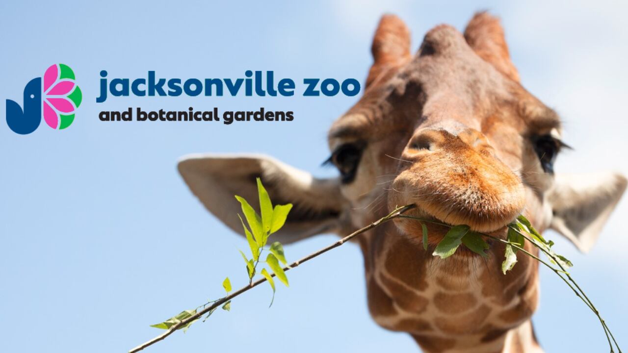Jacksonville Zoo launches Endless Summer Pass for unlimited visits