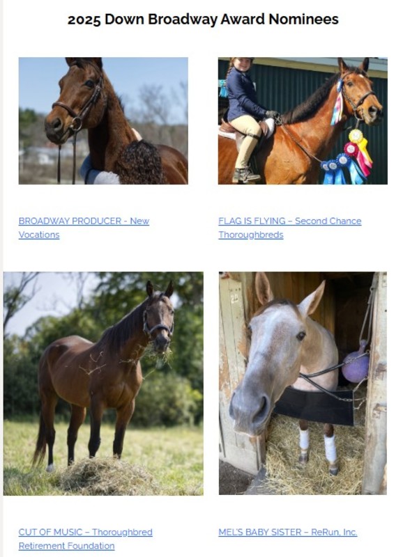 Voting Opens for Down Broadway Retired Racehorse Of The Year Award