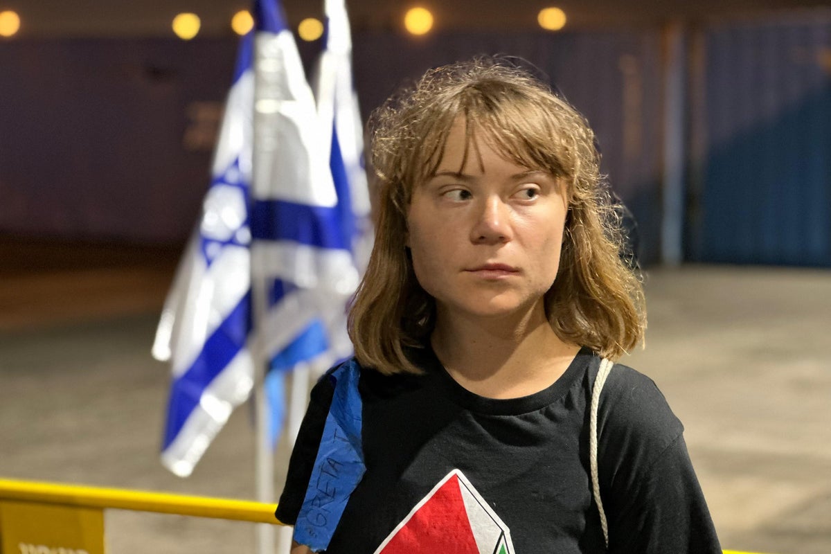Greta Thunberg Gaza flotilla latest: Aid ship reaches port after Israel ...