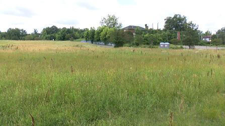 ‘Petersburg needs a grocery store:’ Sycamore Grove development stalled ...