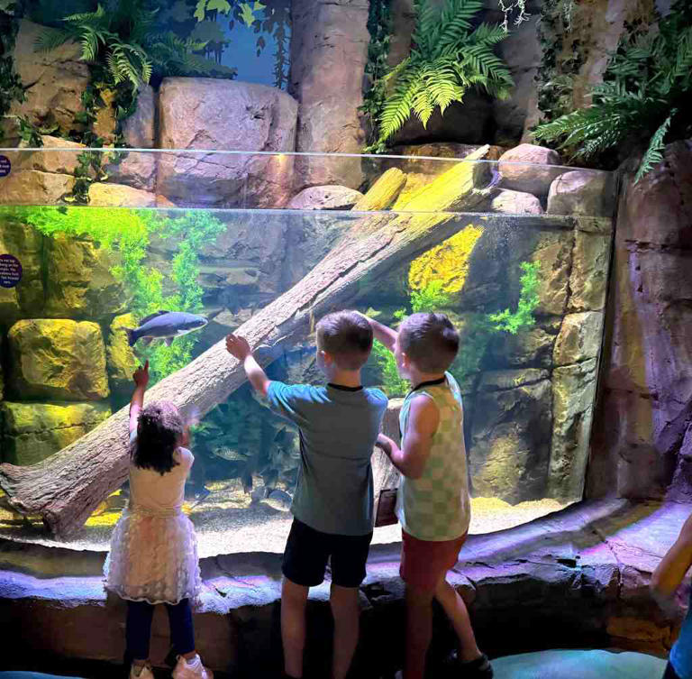 'Under the Sea' theme park opens at LEGOLAND