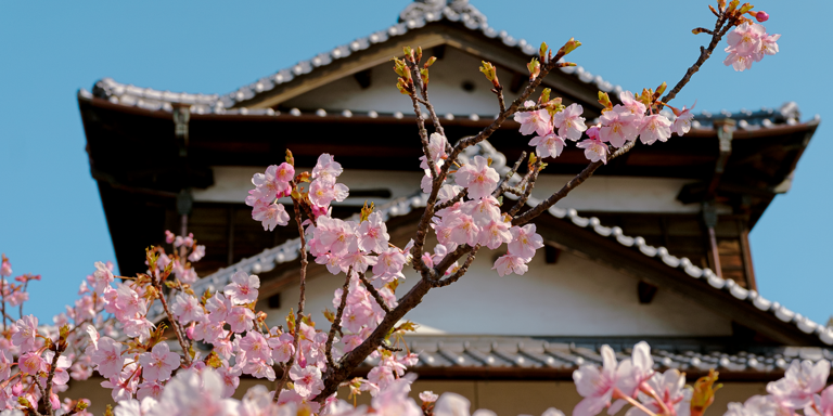 The Healing Power of Japan