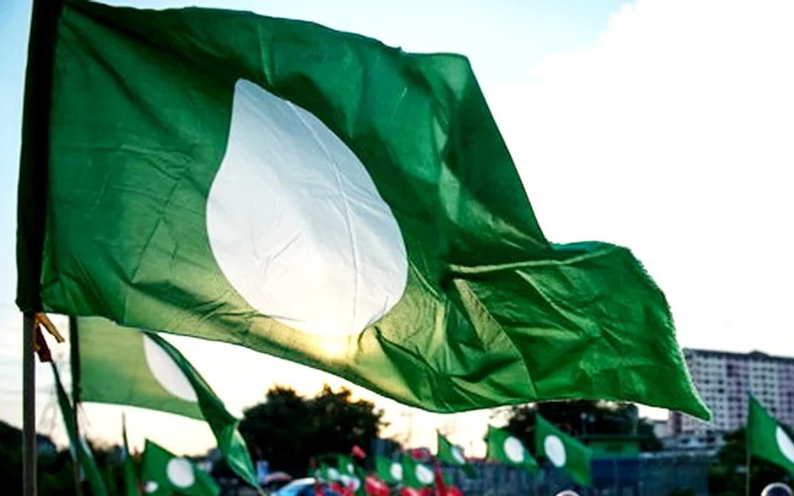 Perlis PAS wing chief blames key party figures for MB turmoil