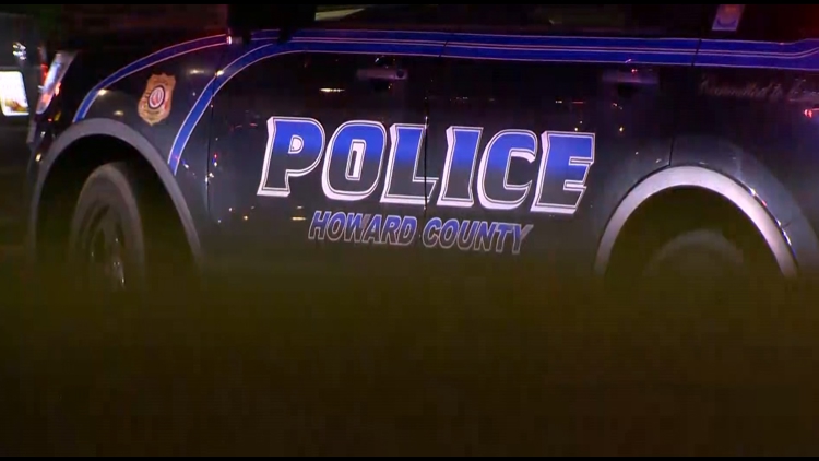 Officers shoot man who allegedly stabbed brother with double-edged spear