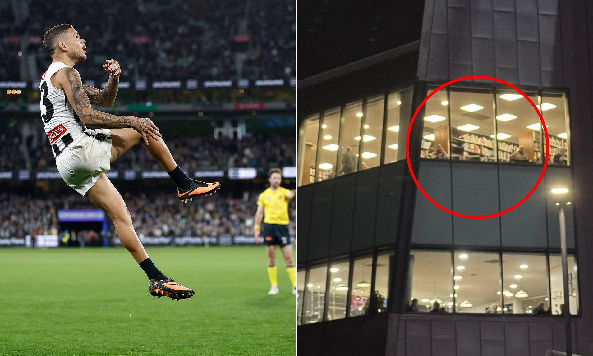 Footy fan spots a VERY bizarre sight at the MCG - but there's a simple ...