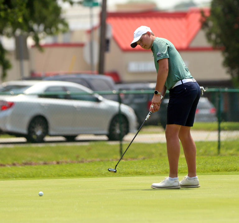 Who impressed from the South Bend area at IHSAA boys golf sectionals?