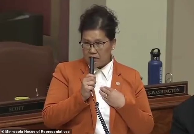 Democrat state rep admits she's in the country 'illegally' in shocking ...
