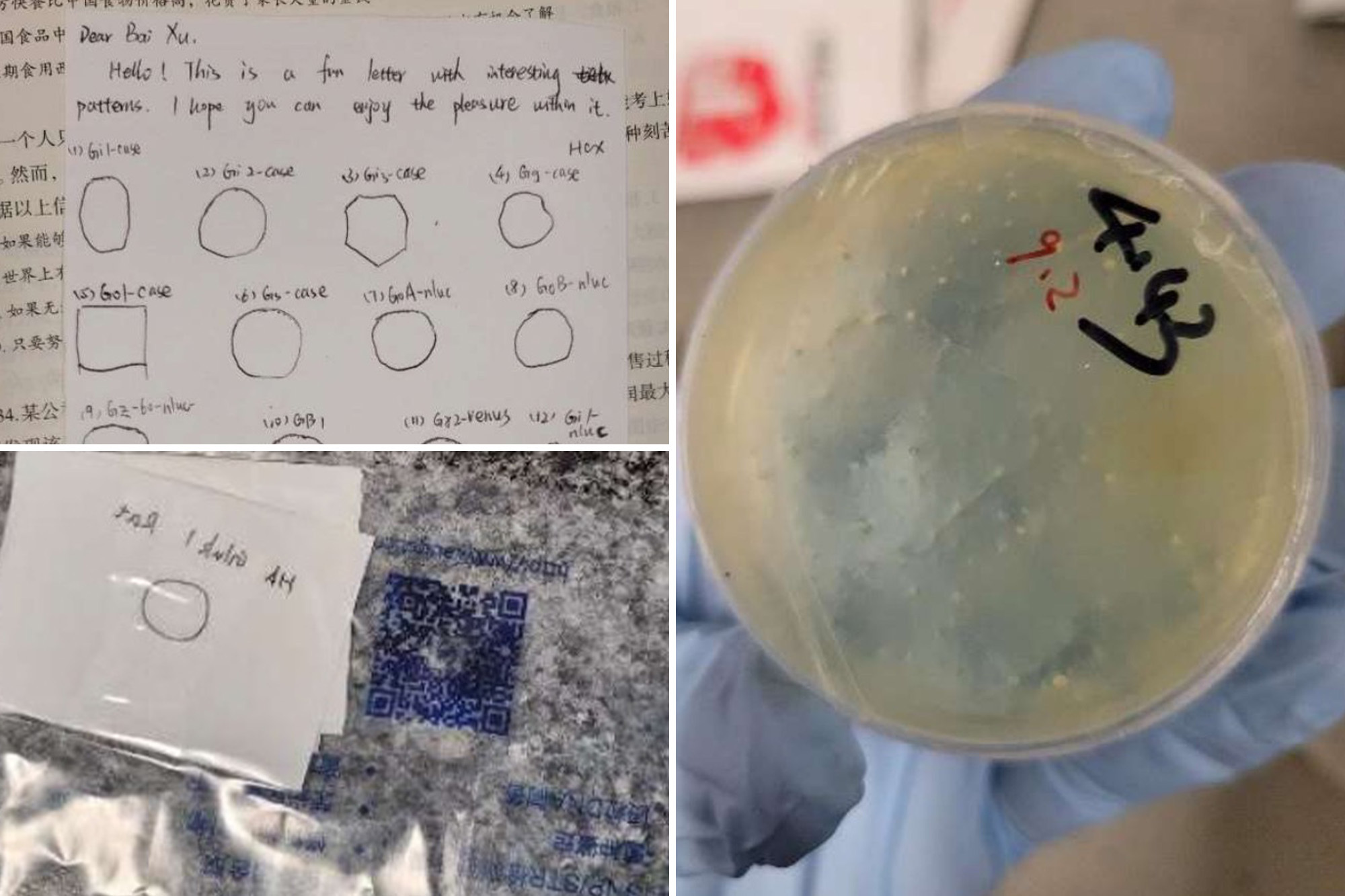 Another Chinese scientist — from Wuhan — charged with smuggling illegal ...