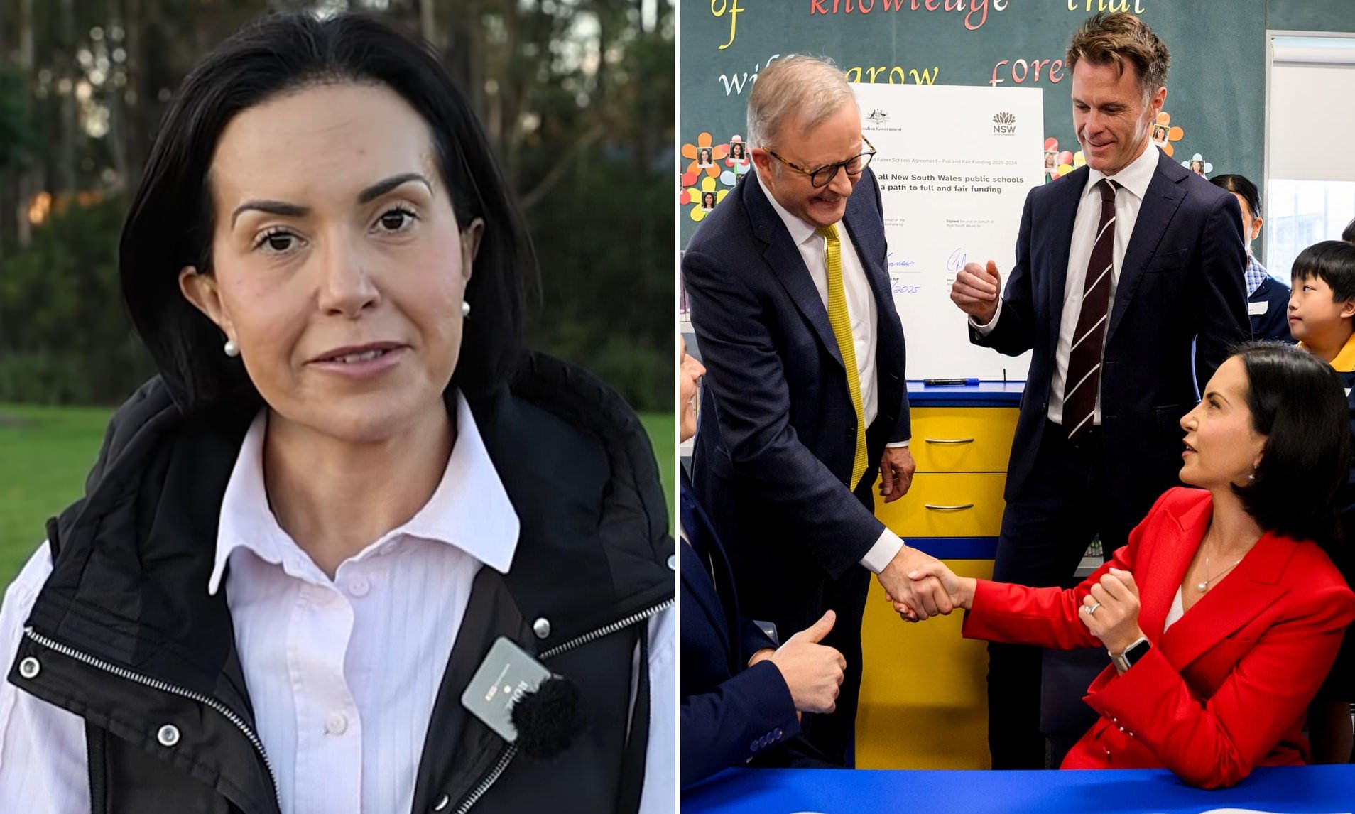 NSW Deputy Premier Prue Car diagnosed with breast cancer