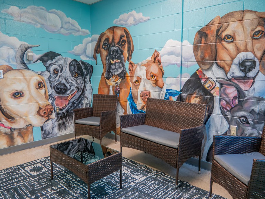 Hanover to host 'Clear the Shelter' adoption event this weekend