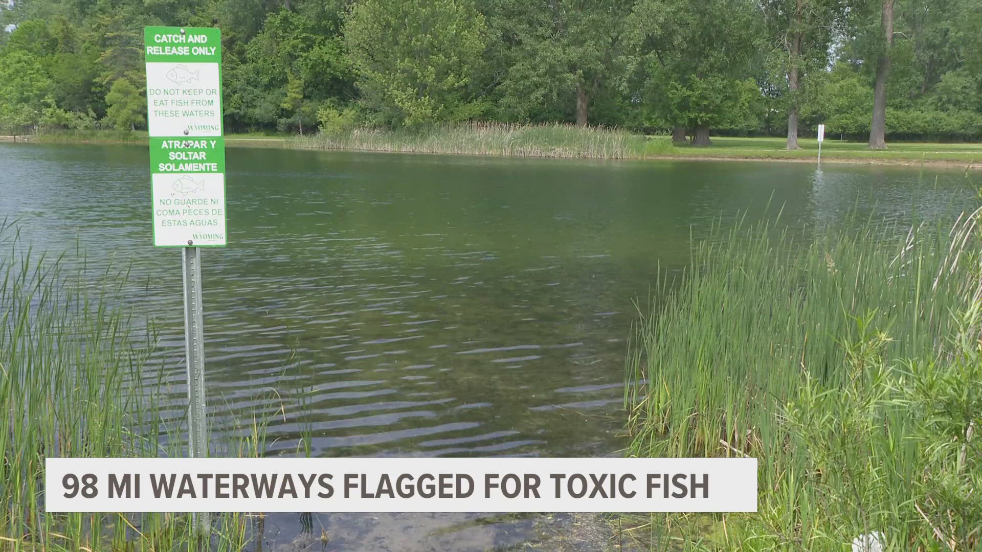 Increase in Michigan’s ‘do not eat’ fish advisories as new data comes out