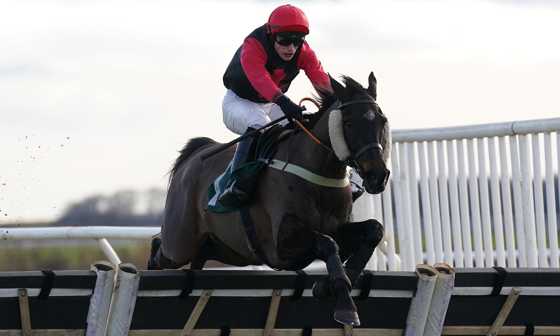 Robin Goodfellow's racing tips: Best bets for Tuesday, June 10