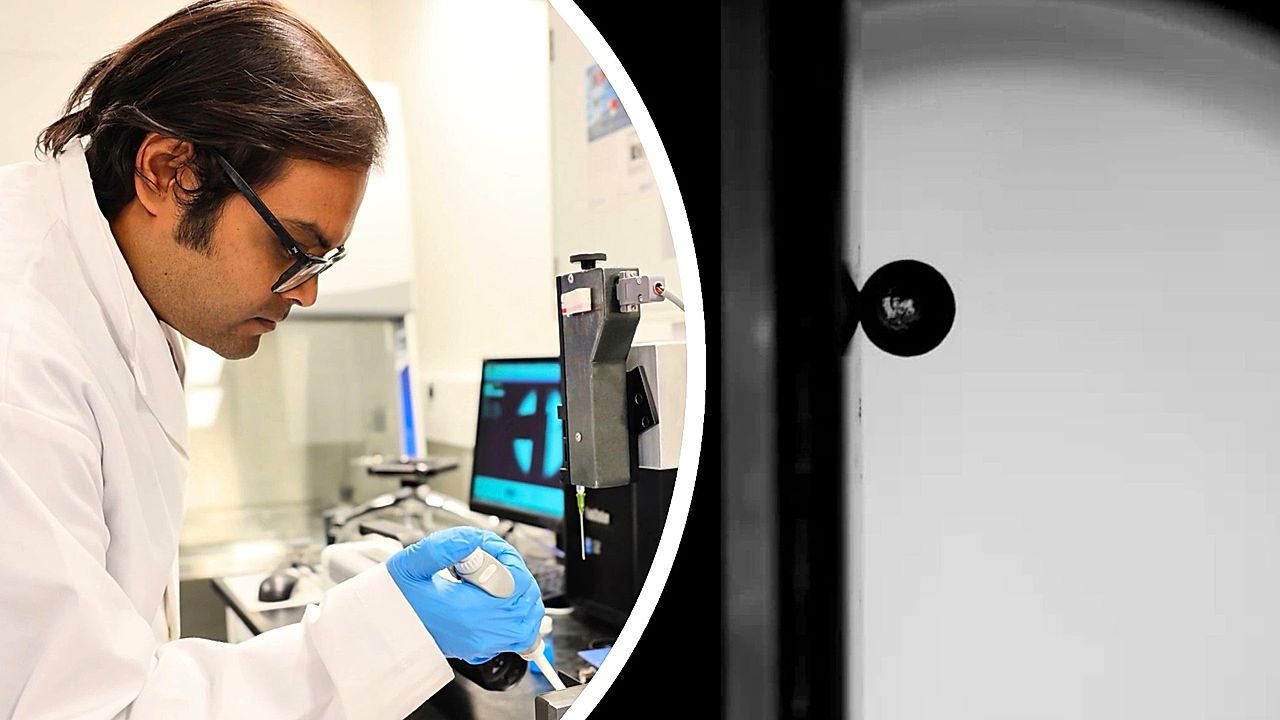 Physicists defy gravity with ball rolling down vertically