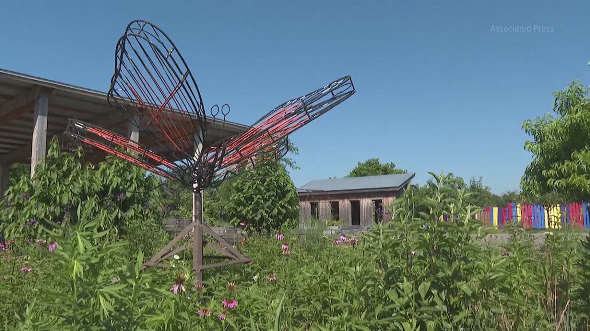 National Pollinator Week starts June 16!