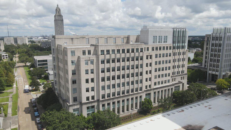 Audit reveals some understaffing issues at DCFS during 2024 fiscal year
