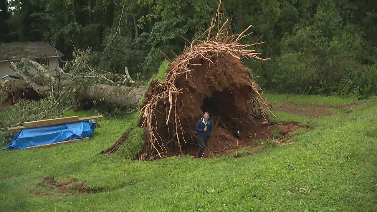 Giant tree crashes into another, sends it toppling onto Cobb County ...