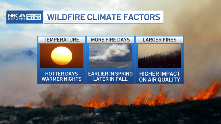 Why wildfire fuels matter more in a warming climate