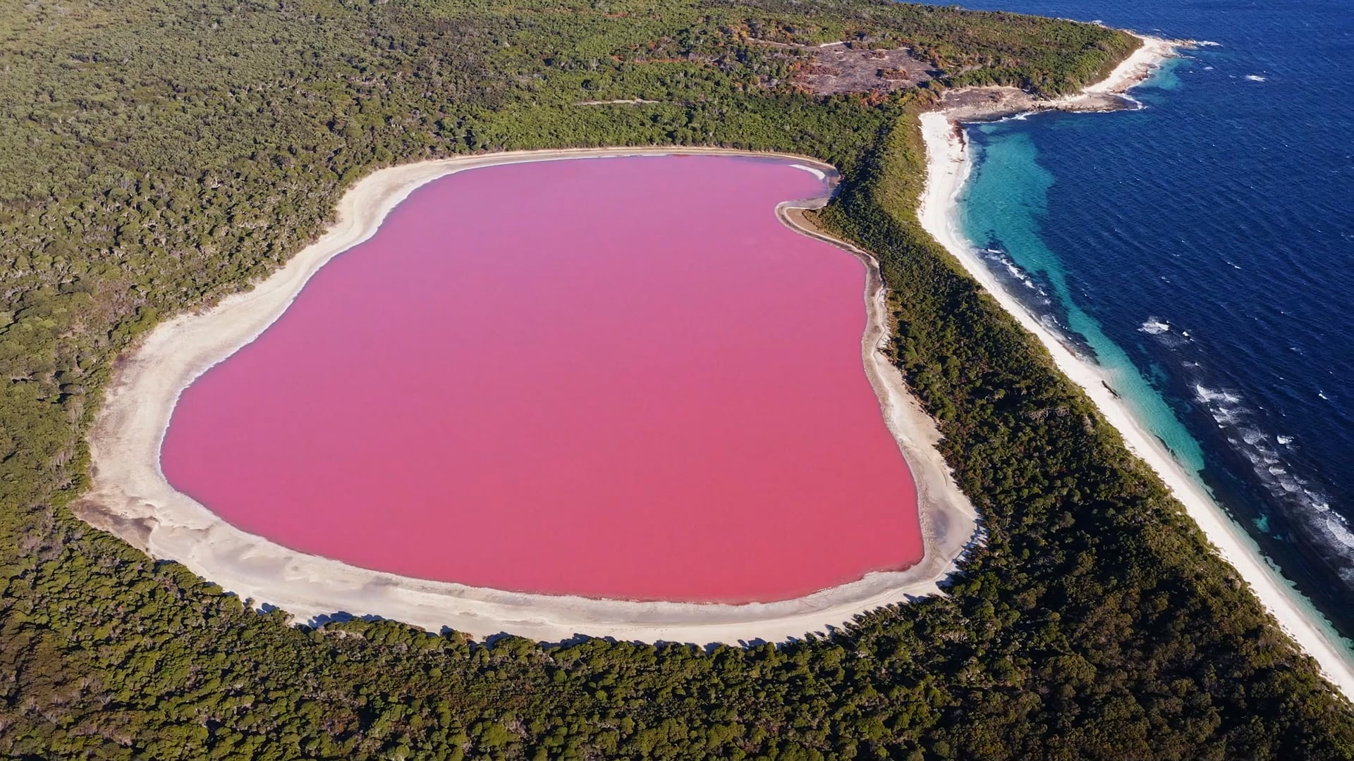 Drooni tutkii Australian hämmästyttävää vaaleanpunaista Hillier-järveä