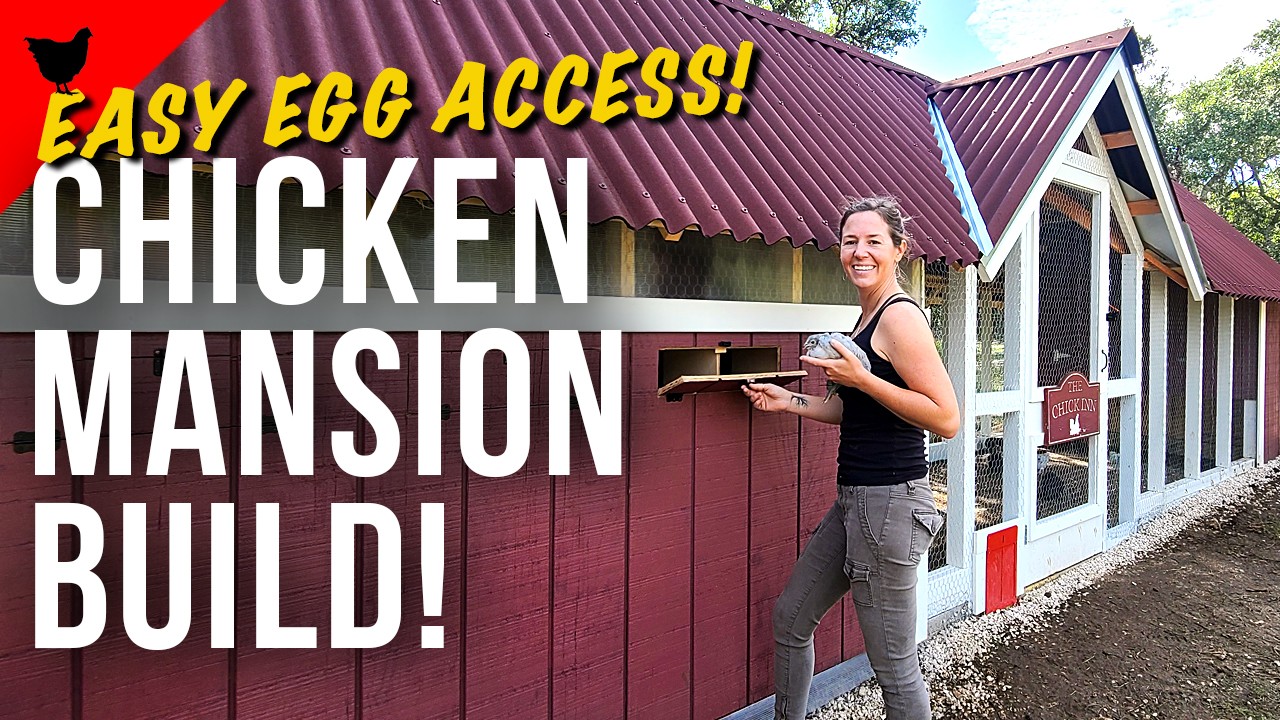 How to Build a Big Chicken Coop with Storage