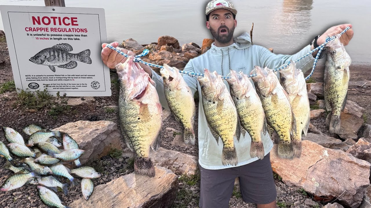 Real crappie fishing raw and uncut loading boat with insane slabs