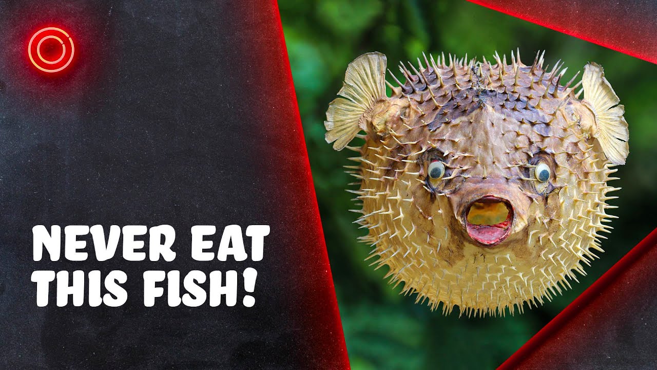 The most dangerous fish you can eat