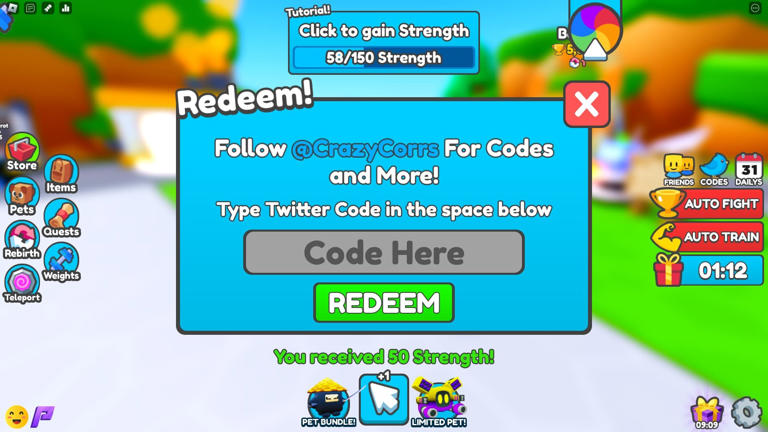 Bicep simulator codes
