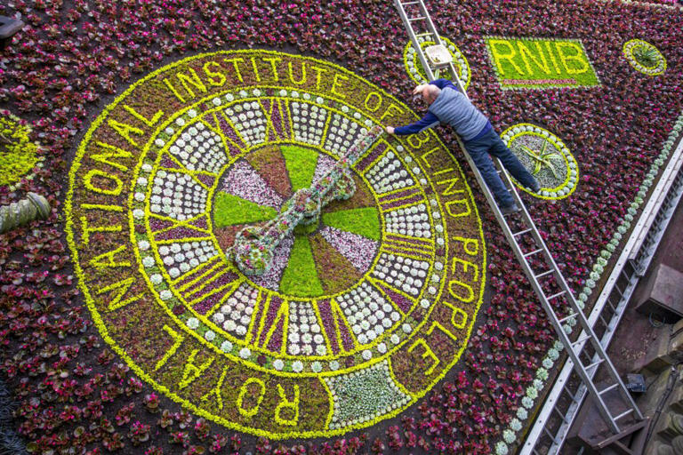 Flower clock unveiled to mark 200 years since the invention of Braille