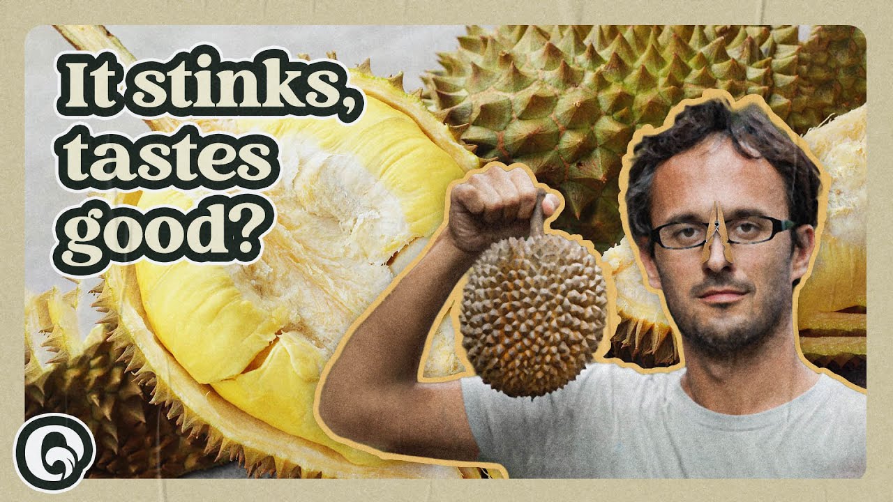 Durian Explained The World’s Most Pungent Fruit