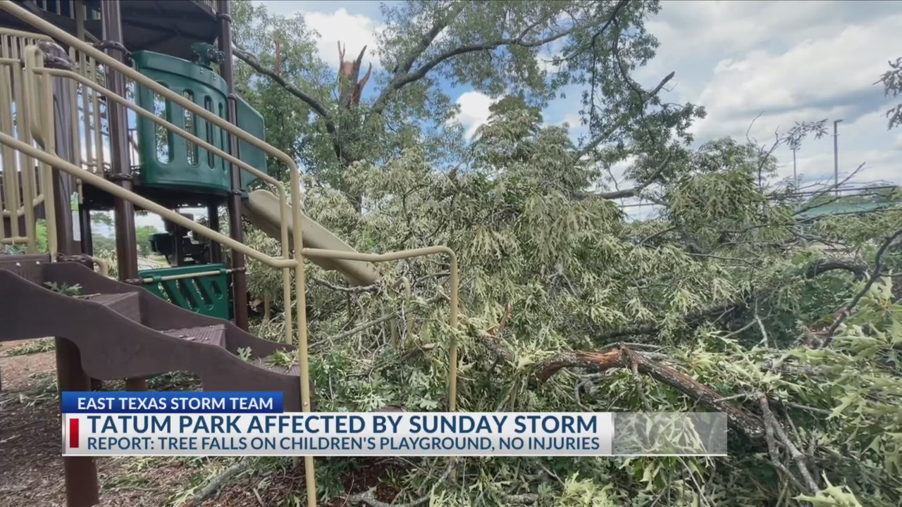 Trees falls on children's playground in Tatum