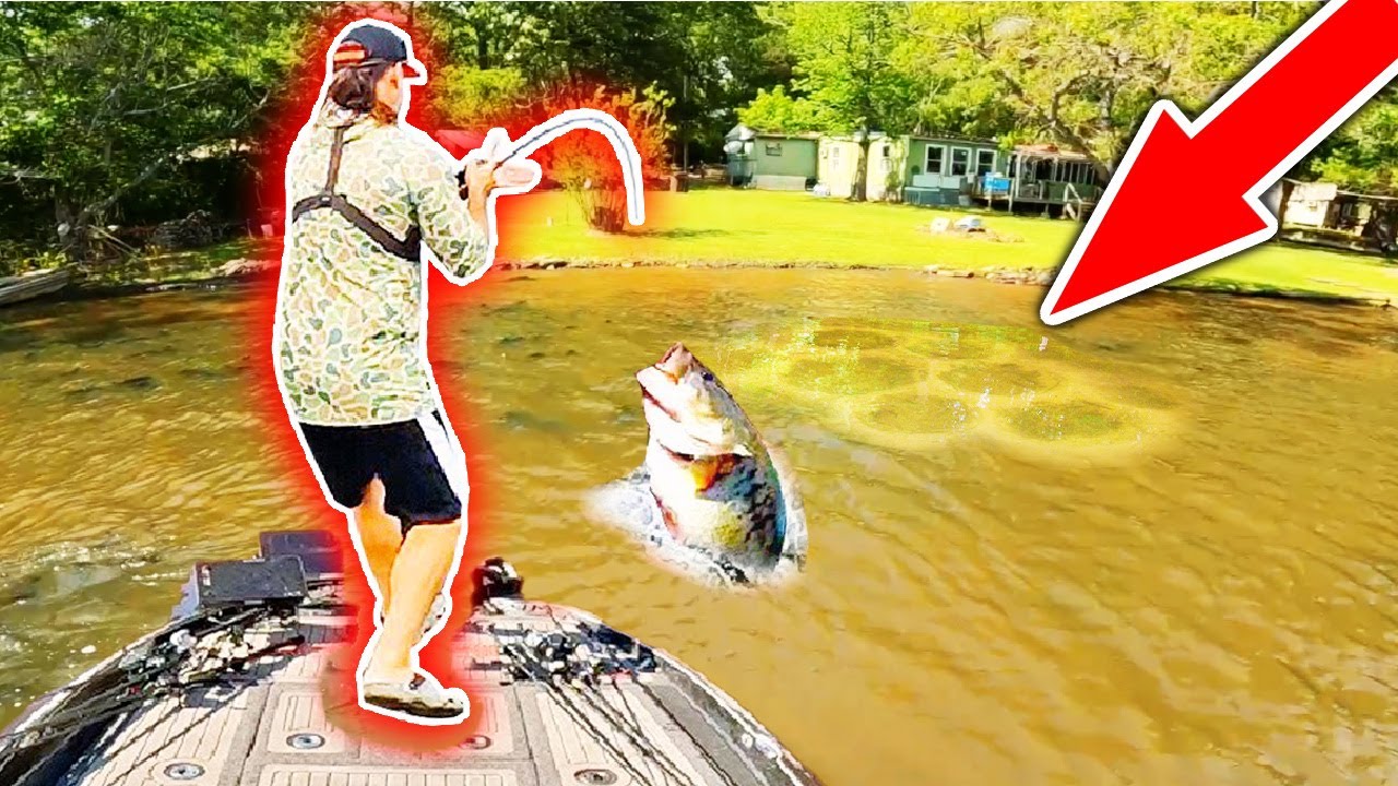 Giant spring bass fooled by ultra simple fishing trick