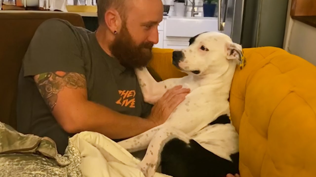 When your dog thinks your boyfriend is hers too