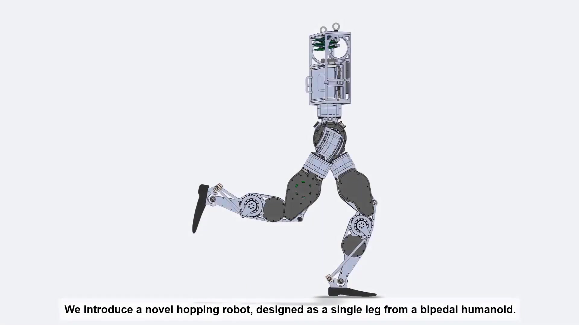A Single Humanoid Leg That Balances Hops and Flips