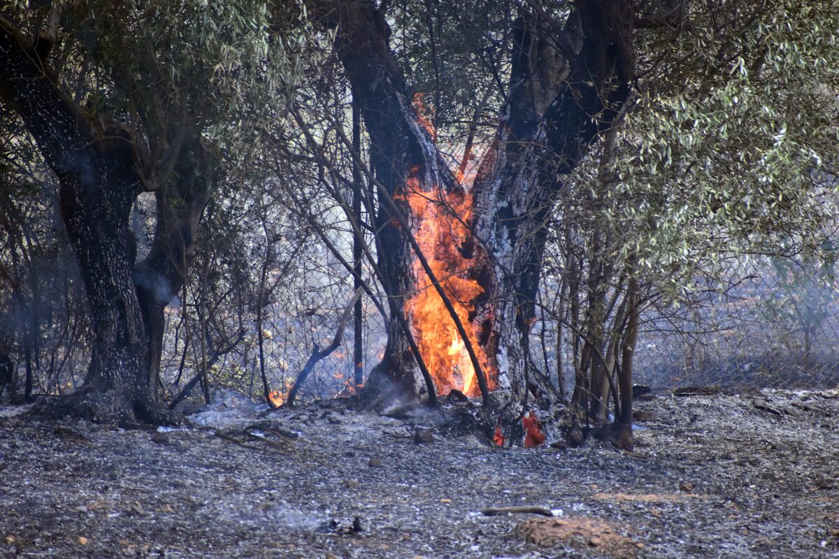Καιρός: Σφοδροί άνεμοι και παρατεταμένη ξηρασία πυροδοτούν συναγερμό ...