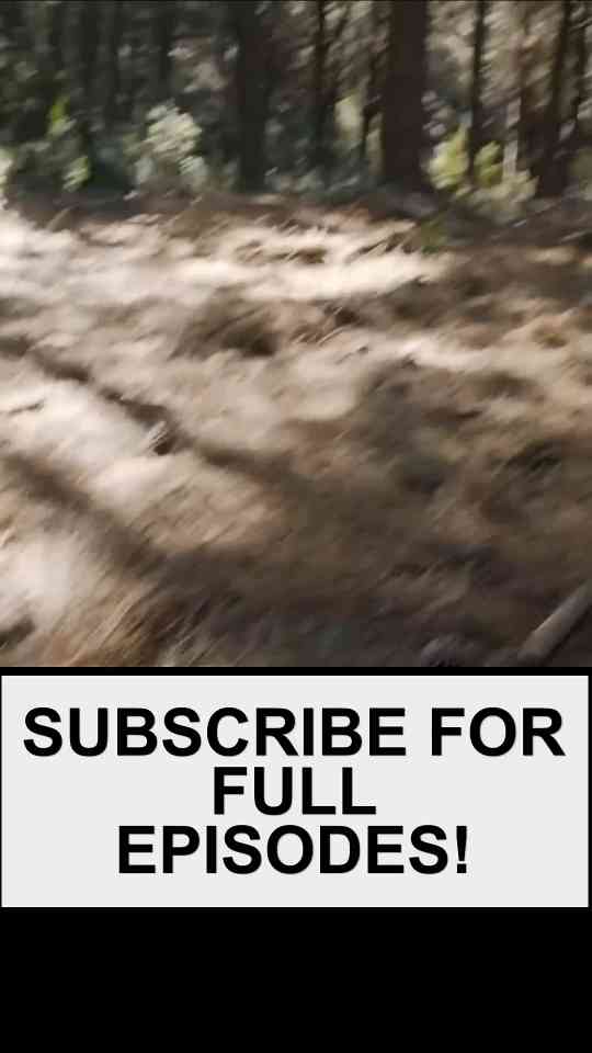 Spitting Cobra! Venom Everywhere! Deadliest Snakes of Africa