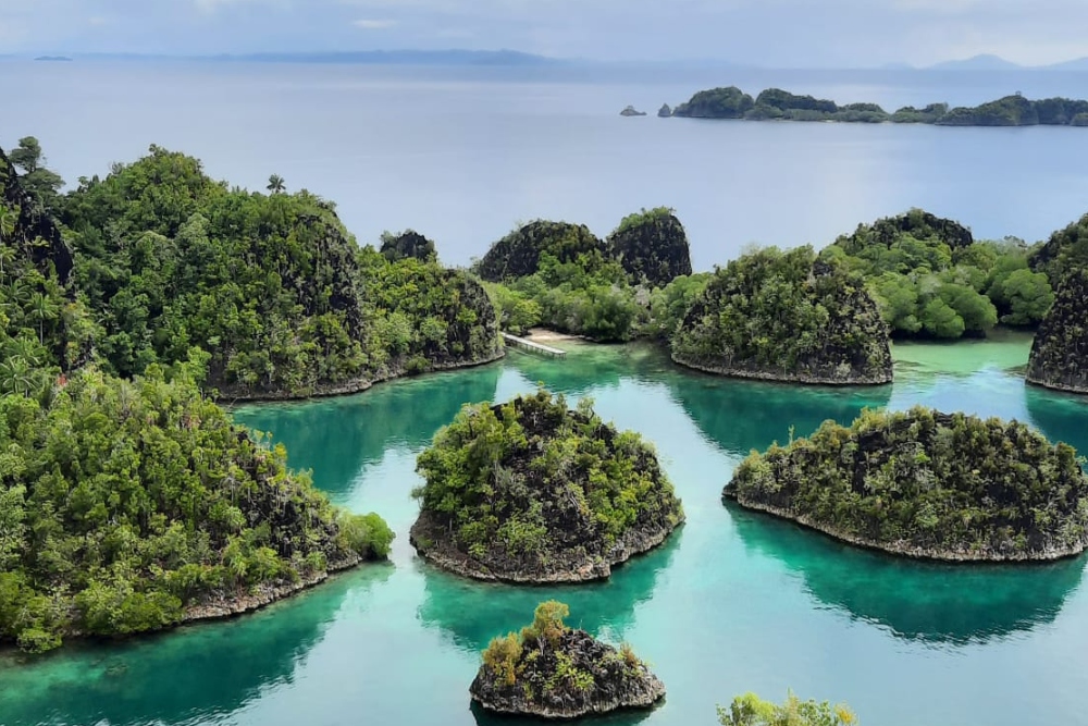 Peta Ini Buktikan Ternyata Raja Ampat Dikepung 5 Tambang Nikel