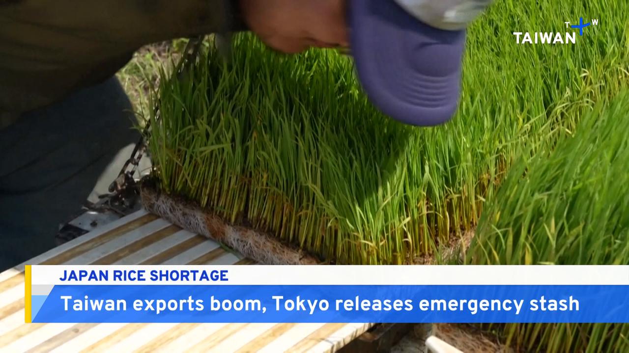 Taiwan Rice Exports Surge as Japan's Shortage Continues