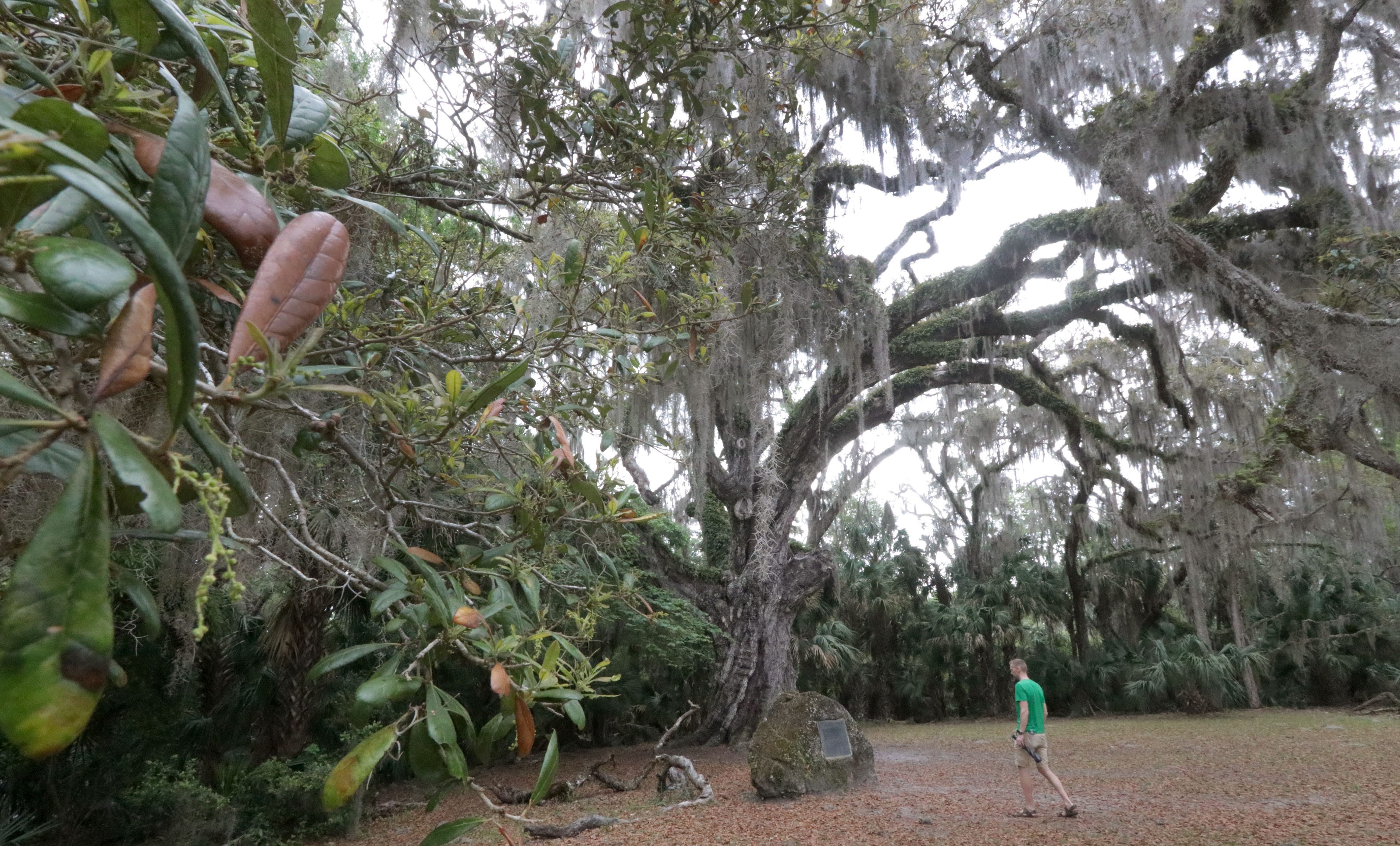 Flagler Beach to vote on final annexation plan for new development