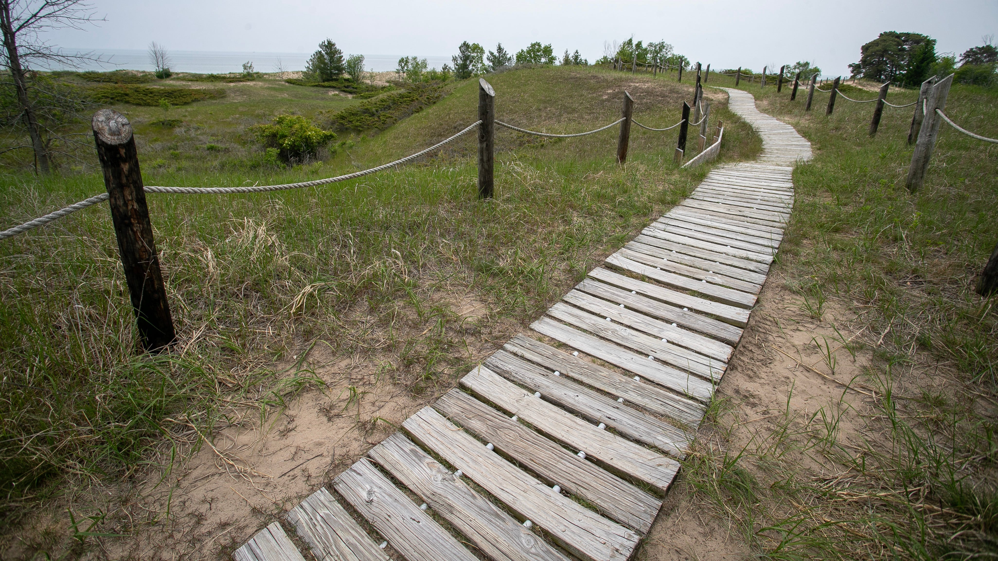 Discover winter wildlife and bird magic at Kohler-Andrae Jan. 17